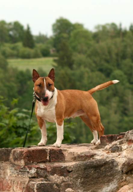 K-mini 14.06.2011 – Potsu de Notsu