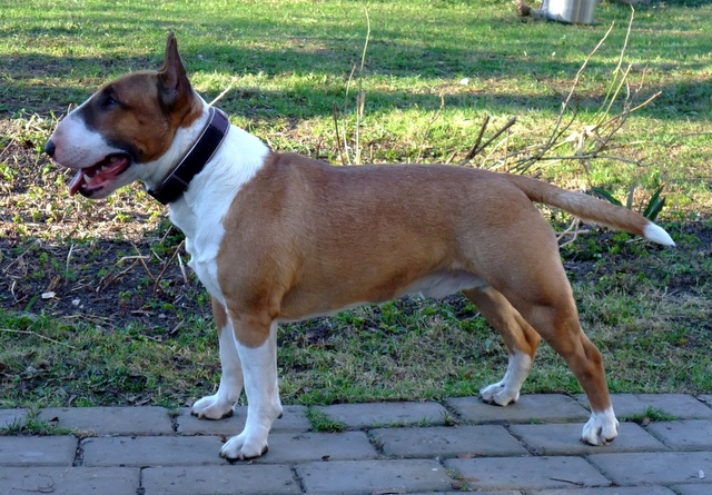 I-mini 22.03.2011 – Potsu de Notsu