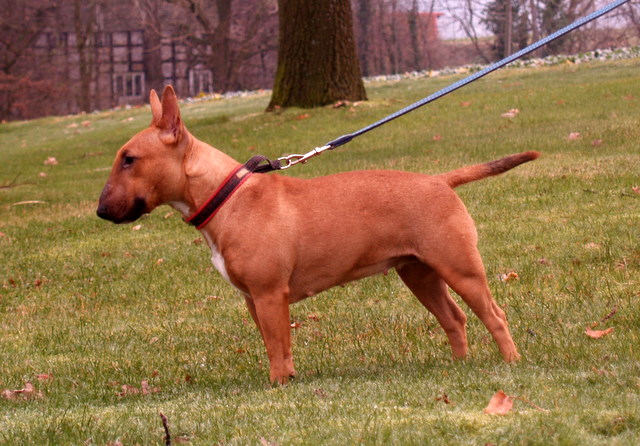 L-mini 26.10.2011 – Potsu de Notsu