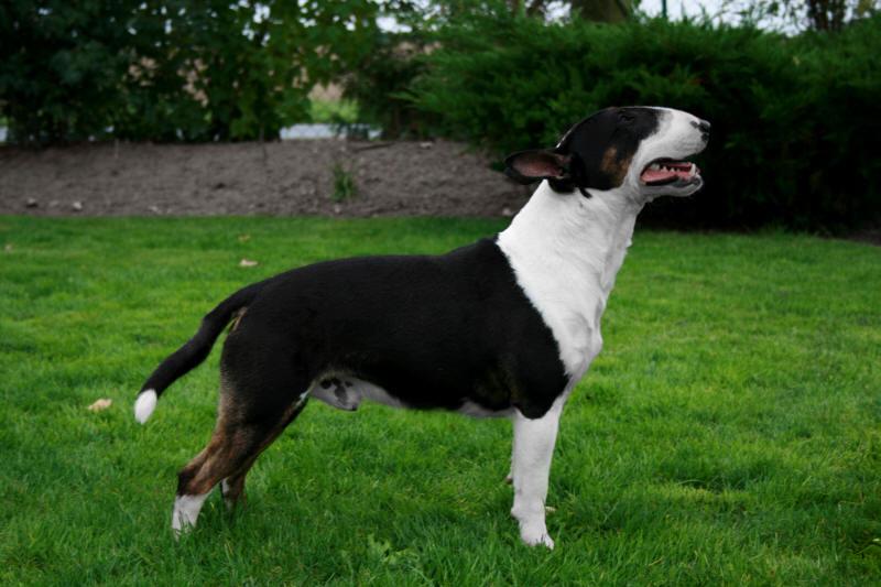 L-mini 26.10.2011 – Potsu de Notsu